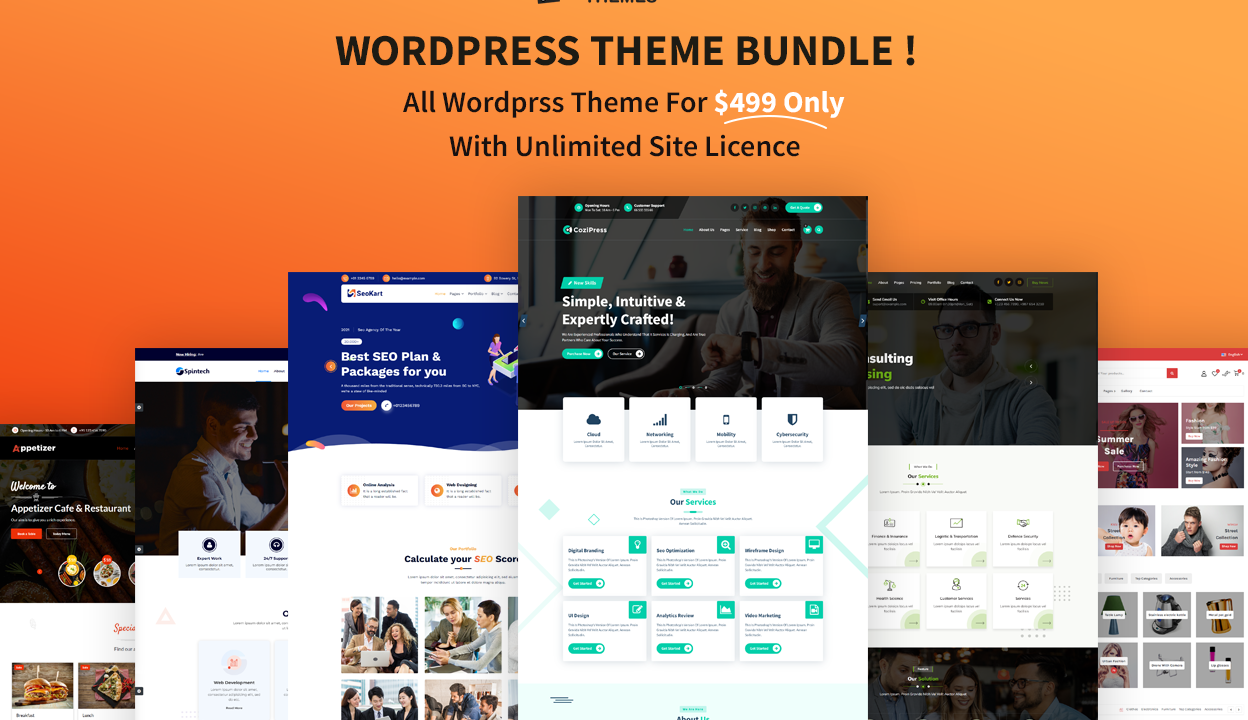 PRO Themes Archives - Burger Themes